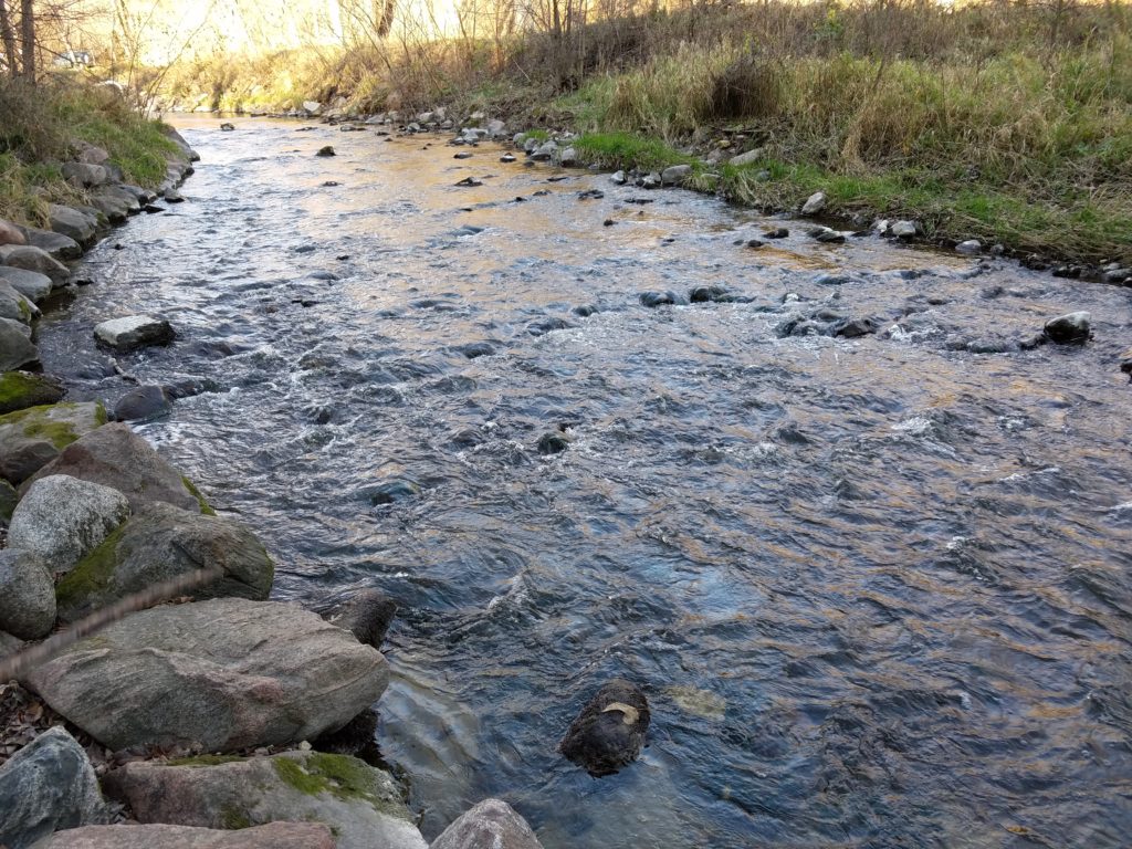 A Creek Free stock image of a creek. Creek, stream, brook, woods ...